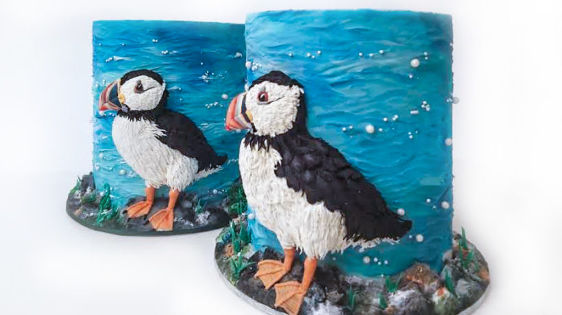 Puffin celebration cake - from Lindy Smith's One Tier Party Cakes