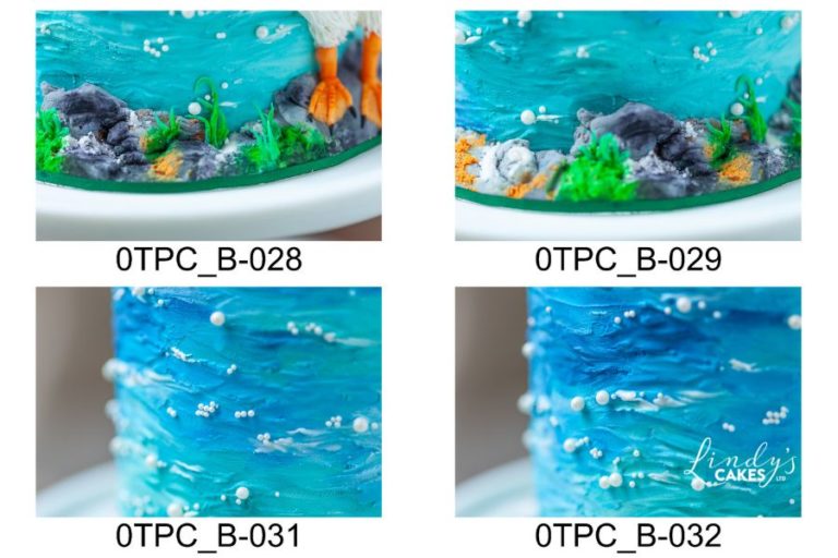 Puffin celebration cake - as found in Lindy Smith's One Tier Party Cakes