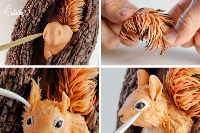 Front Cover Red Squirrel Cake - Lindy's Cakes Ltd